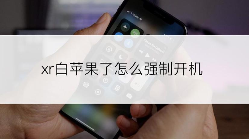 苹果XR一直显示白苹果怎么办图标