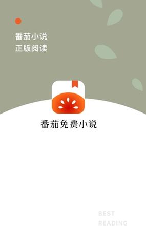番茄小赚钱版图标