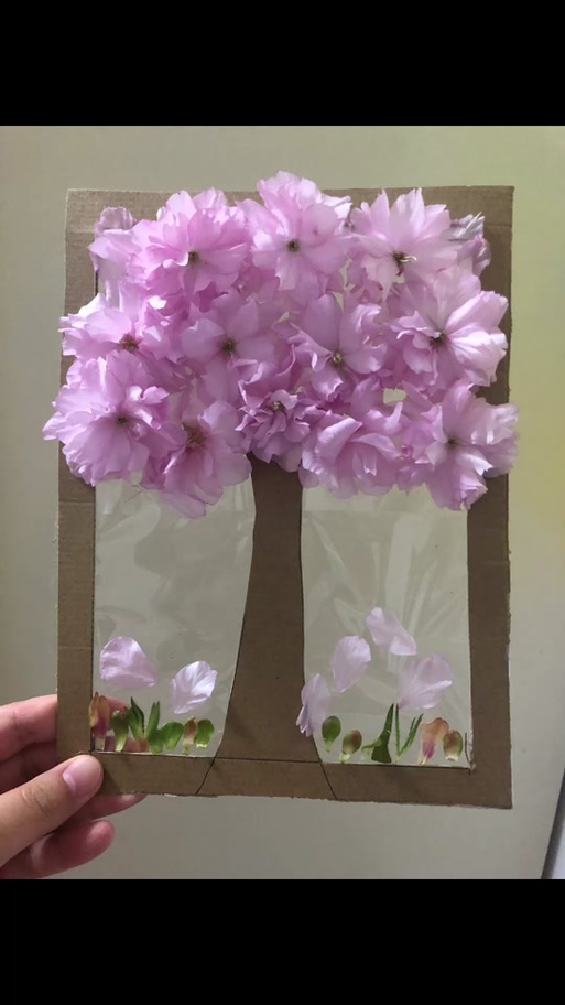 花瓣可以用来做什么截图