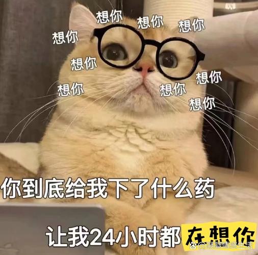 你是不是欠撩gl图标