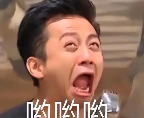 邓超表情包so得斯内图标