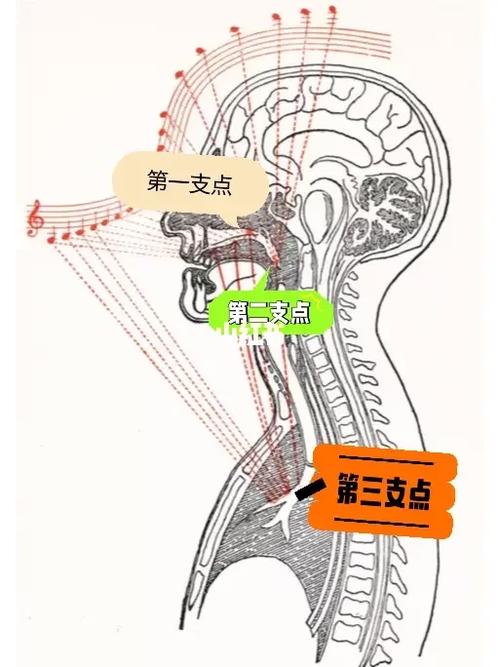 唱歌技巧图标