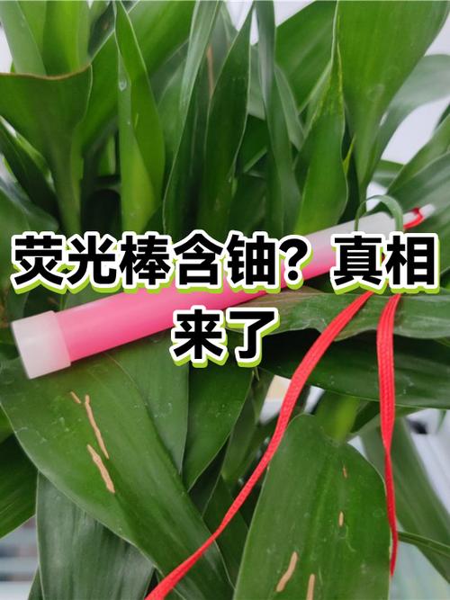 荧光棒有辐射吗图标