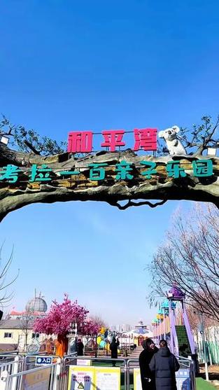 考拉100图标