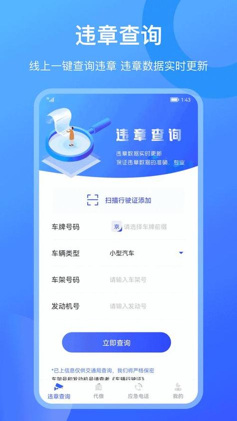违章查询输入车牌号查询违章