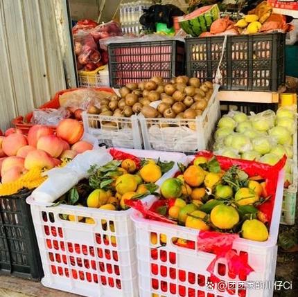 菜场卖什么东西赚钱图标