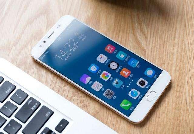 vivo的4g开关在哪截图