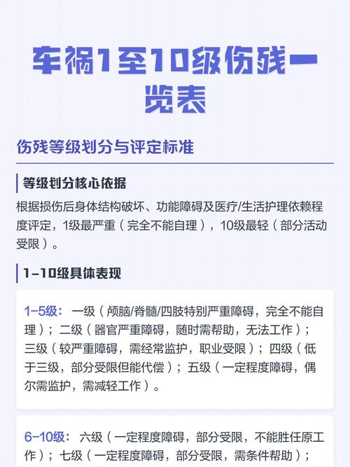 1一10级伤残鉴定标准图标