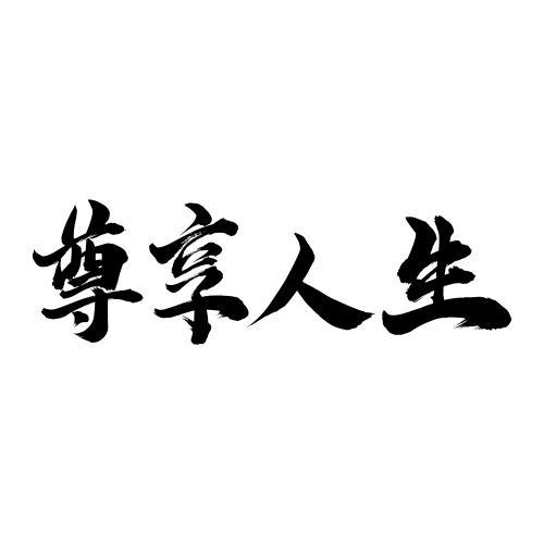 vip的特殊含义图标