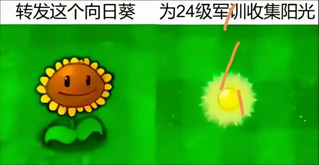 植物大战僵尸吧图标