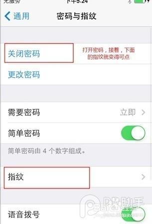 苹果5s强制解锁教程图标