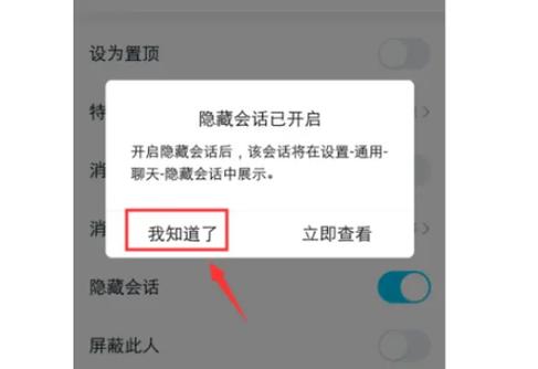 qq隐藏会话对方会显示什么图标