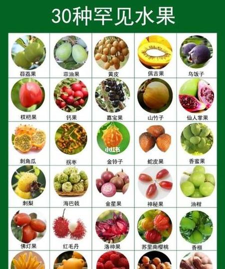 100种水果大全名称图标