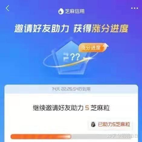 芝麻助力接单平台图标