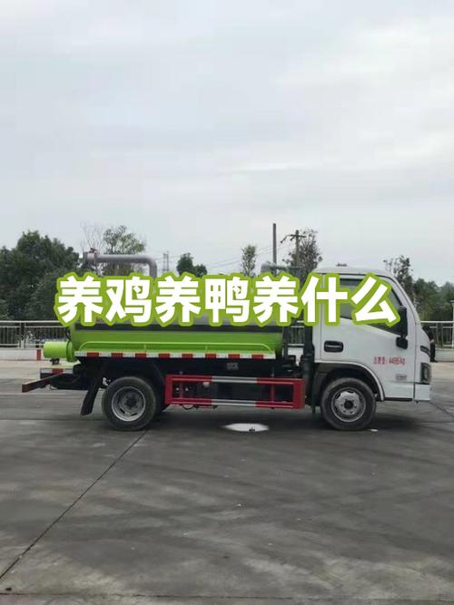 养鸡赚钱还是养鸭赚钱图标