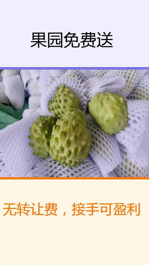 释迦果不能乱送人图标