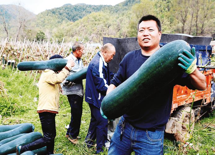 安装冬瓜视频图标