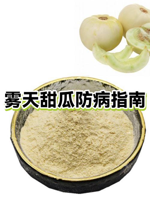 吃甜瓜有什么好处图标