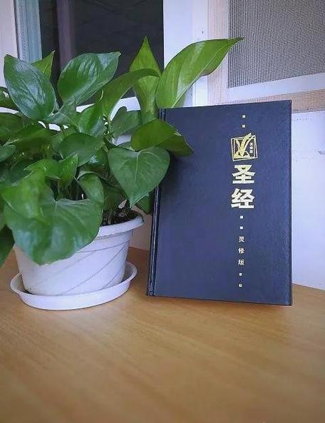 圣经灵修版图标
