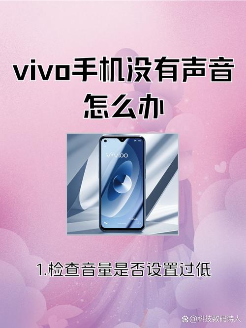 vivo手机听筒话筒都没声音截图