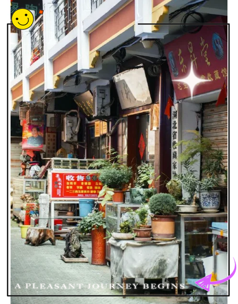 武汉徐东古玩市场图标