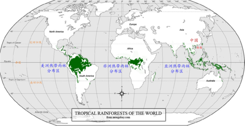 热带雨林主要分布图标