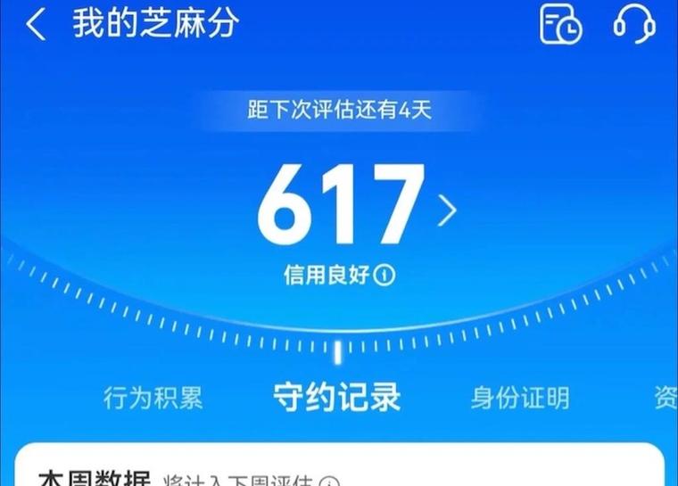 支付宝芝麻信用怎么用图标