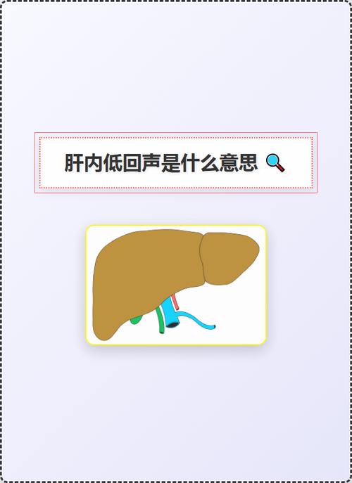肝脏低回声好还是强回声好图标