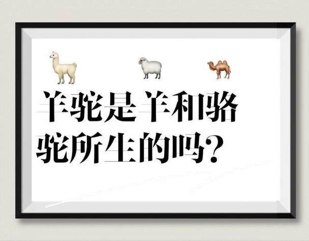 小羊驼是什么动物杂交吗截图