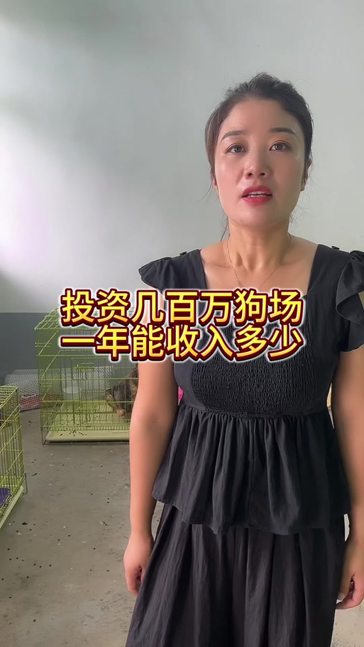 养狗场一年能赚多少钱截图