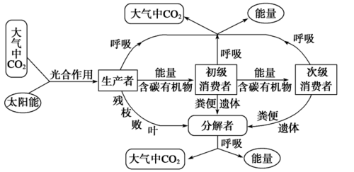 能量流动具有什么特点图标