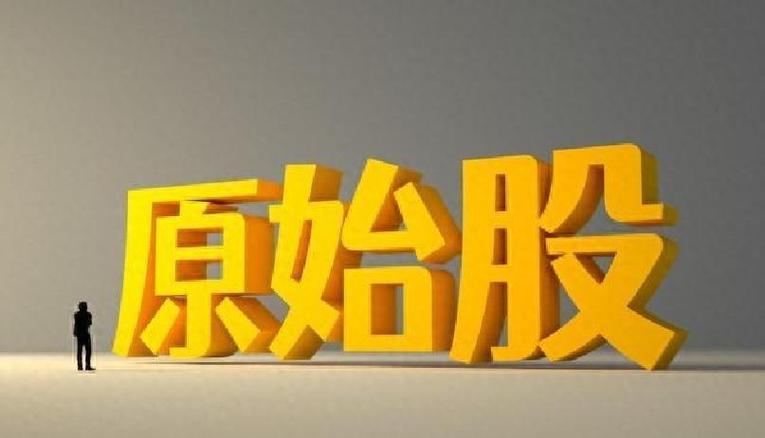 投了原始股企业没上市能赚钱吗图标