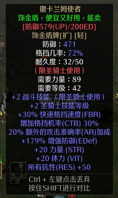 暗黑2圣骑士专用盾图标