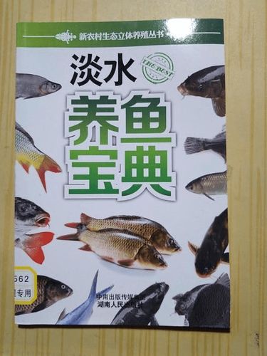 草金鱼能和锦鲤混养吗图标
