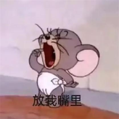 猫和老鼠里面的小老鼠的表情包