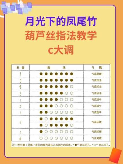c调和c大调的区别图标