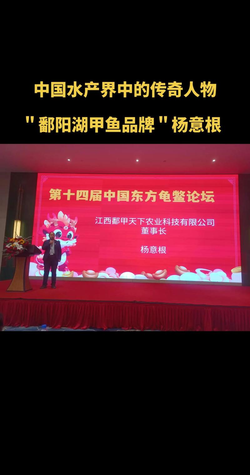 甲天下论坛455933.com.截图