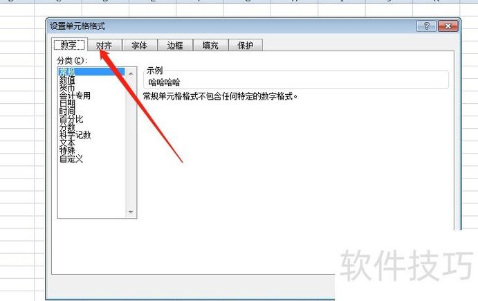 托利多软件传标签格式