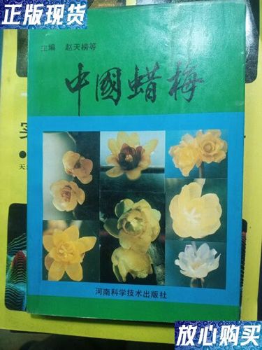 中国腊梅图标