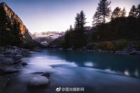 图虫电脑版图标