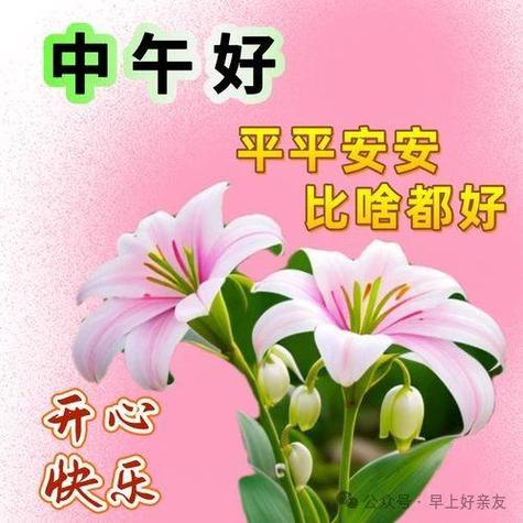 中午发朋友圈的最佳时间截图