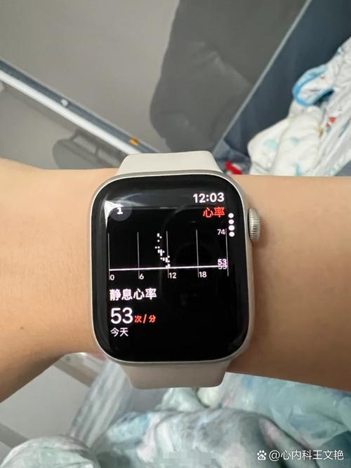 苹果手表心率设置图标