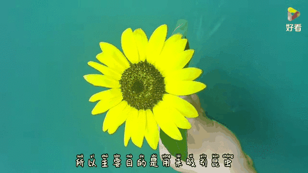 向日葵妈妈赚钱吗截图