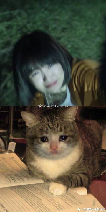 解说小狼传媒