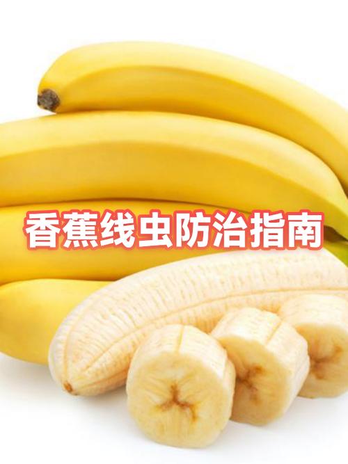 脸部脱敏小妙招香蕉图标