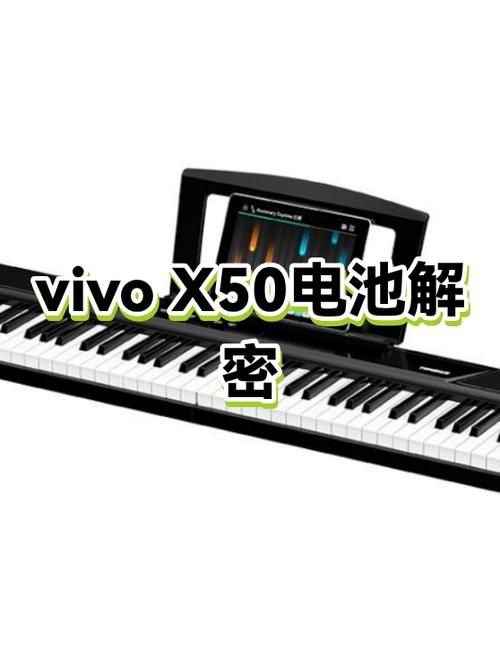 vivox50支持内存扩展吗