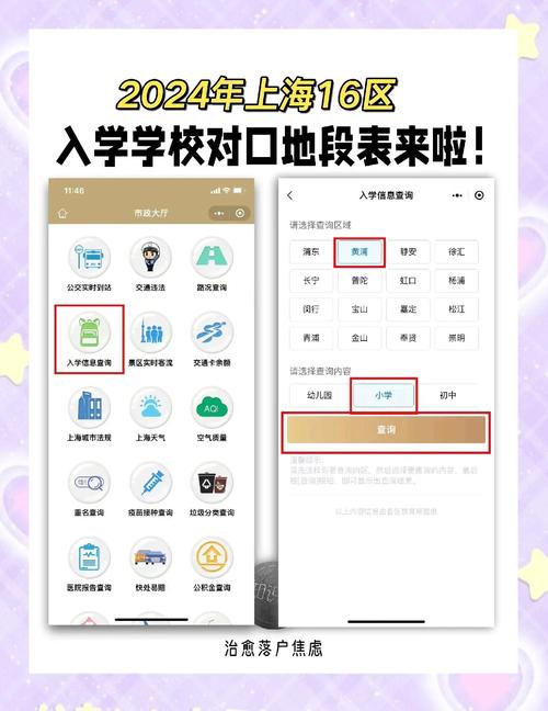招生网录取查询系统图标