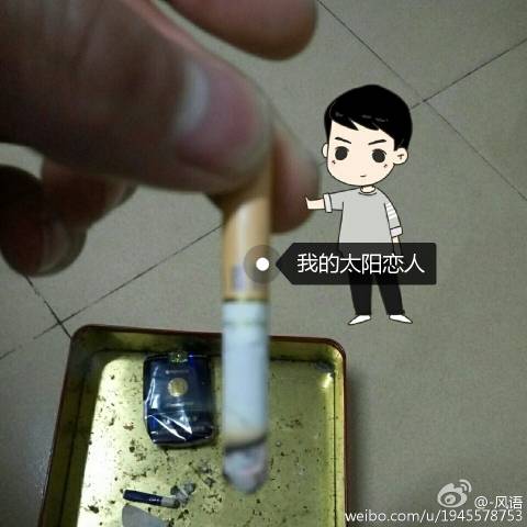 追风成烟小说完整版图标