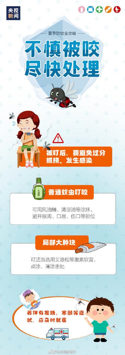苍蝇多怎么办有何妙招图标