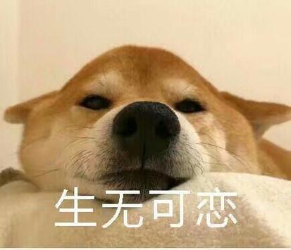 生无可恋表情包